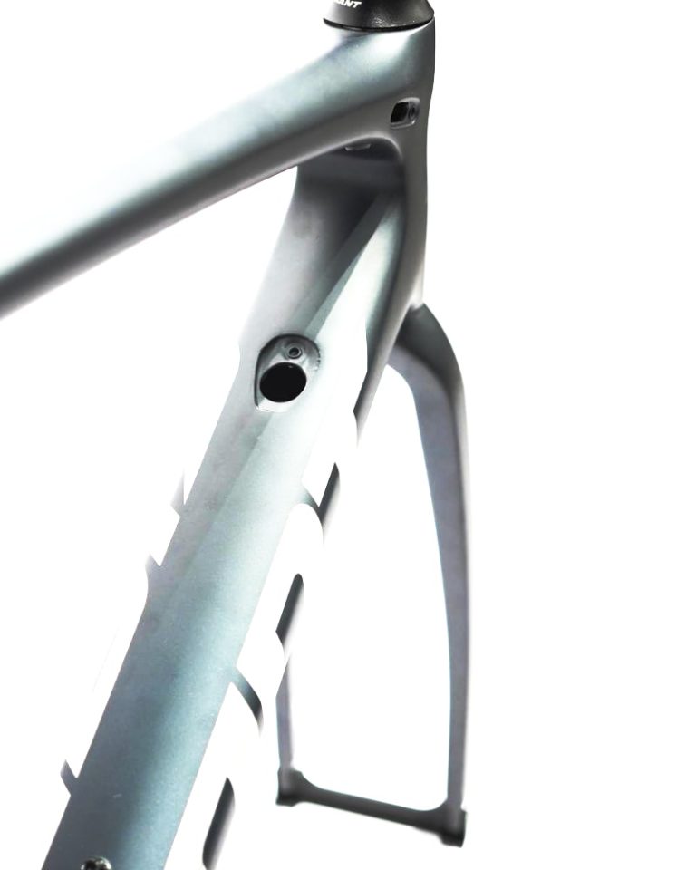 Giant TCR Advanced (2021) Carbon Black Rim Brake Frameset - bikemartsg.com