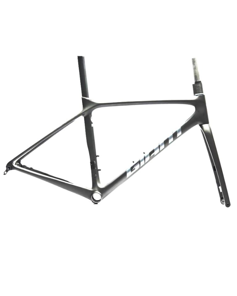 Giant TCR Advanced Pro Disc Carbon Frameset - bikemartsg.com