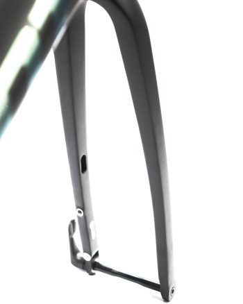 Giant TCR Advanced Pro Disc Carbon Frameset - bikemartsg.com