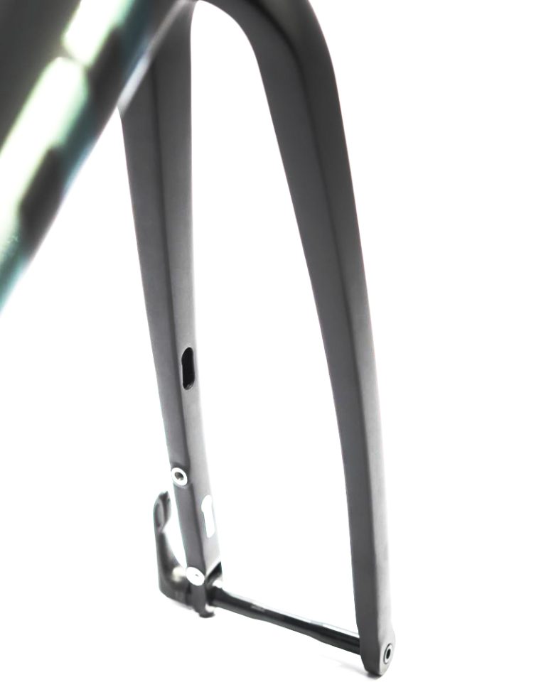 Giant TCR Advanced Pro Disc Carbon Frameset - bikemartsg.com