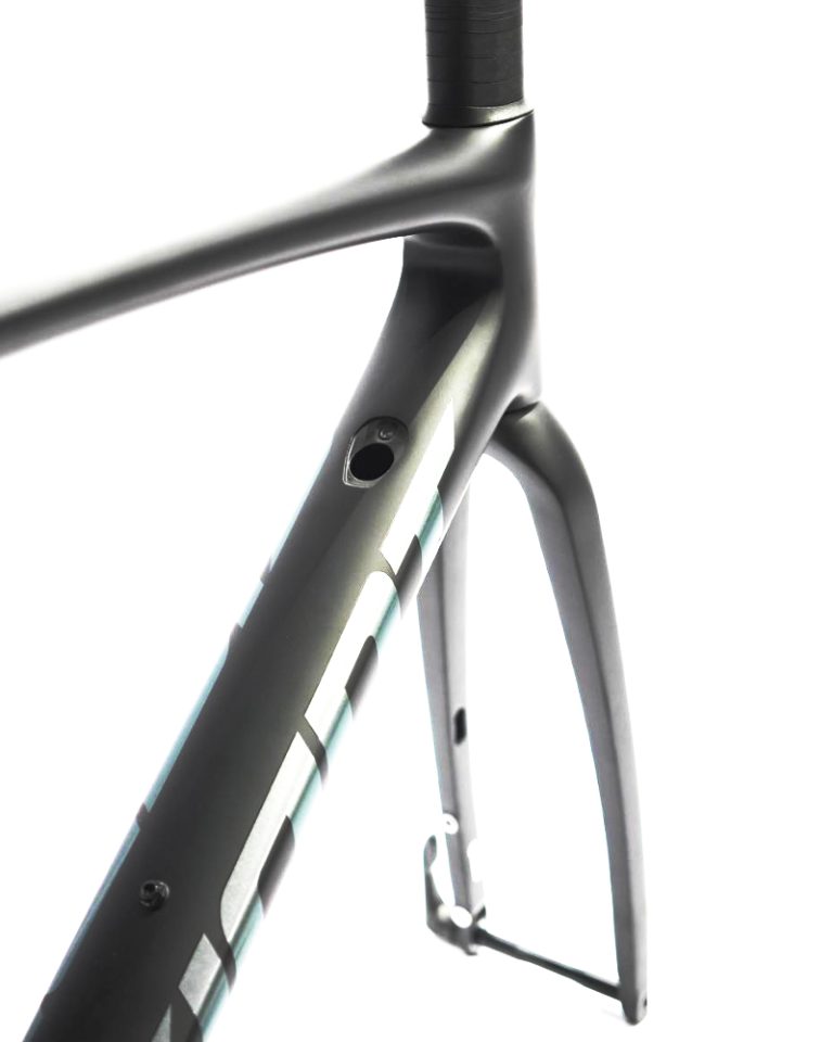 Giant TCR Advanced Pro Disc Carbon Frameset - bikemartsg.com