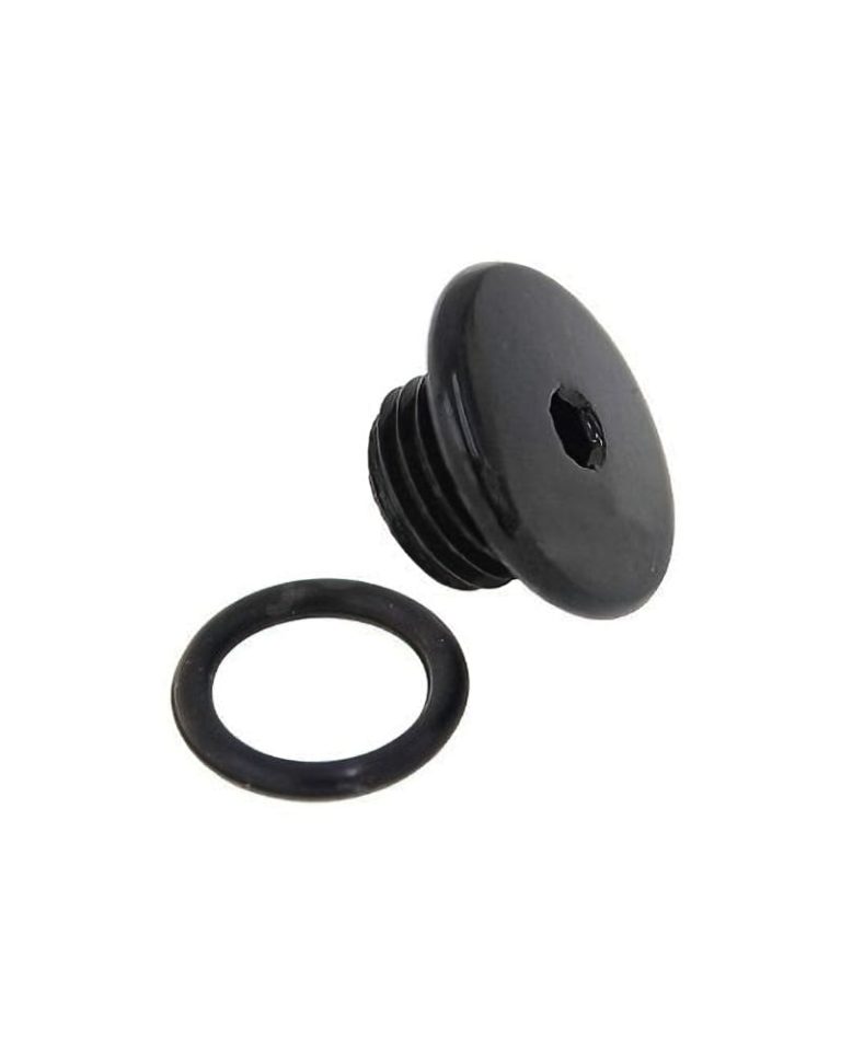Shimano Disc Brake Road Shifter Bleed Screw and O-Ring for Dura Ace ST ...